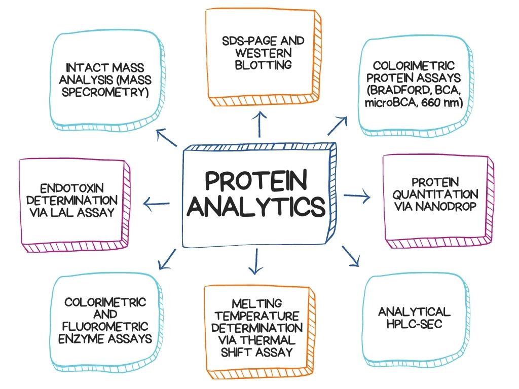 Protein Analytics | Proteos